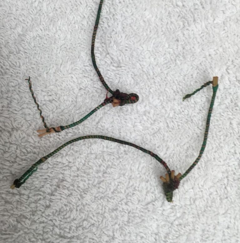 Image of the week: butcher’s twine linear foreign body – Vet Practice ...